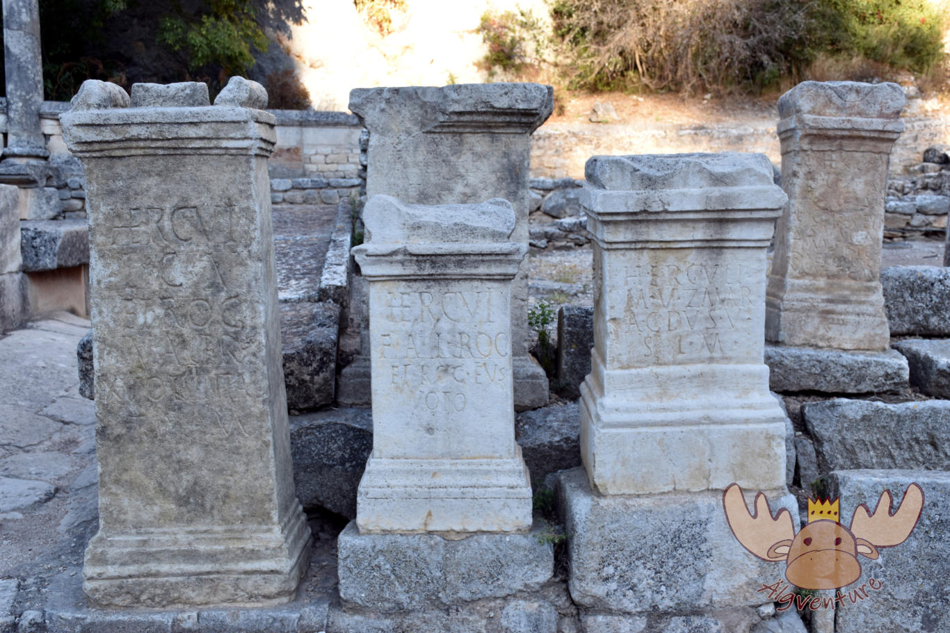 Glanum – Älgventure