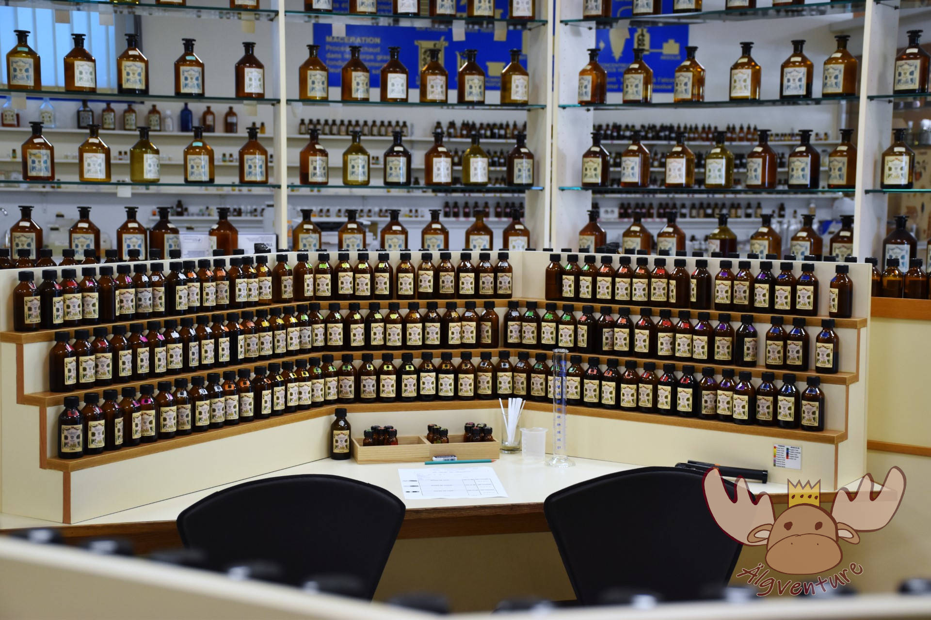 Fragrance experiments in the Galimard perfumery – Älgventure