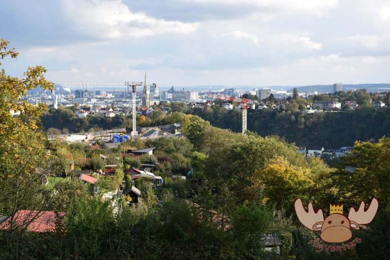 ZOO Linz – Älgventure